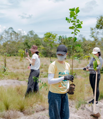 Sustainable development