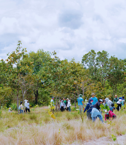 Sustainable development